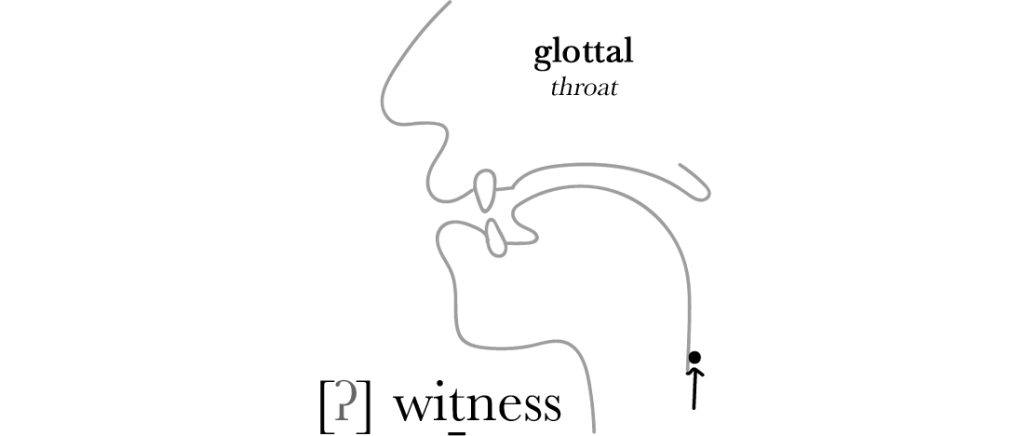 Plosive Consonant Sounds - The Sound of English