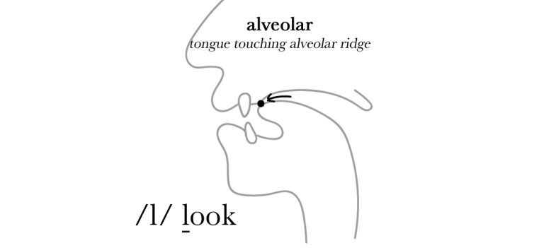 Lateral Approximant Consonant Sound - The Sound of English